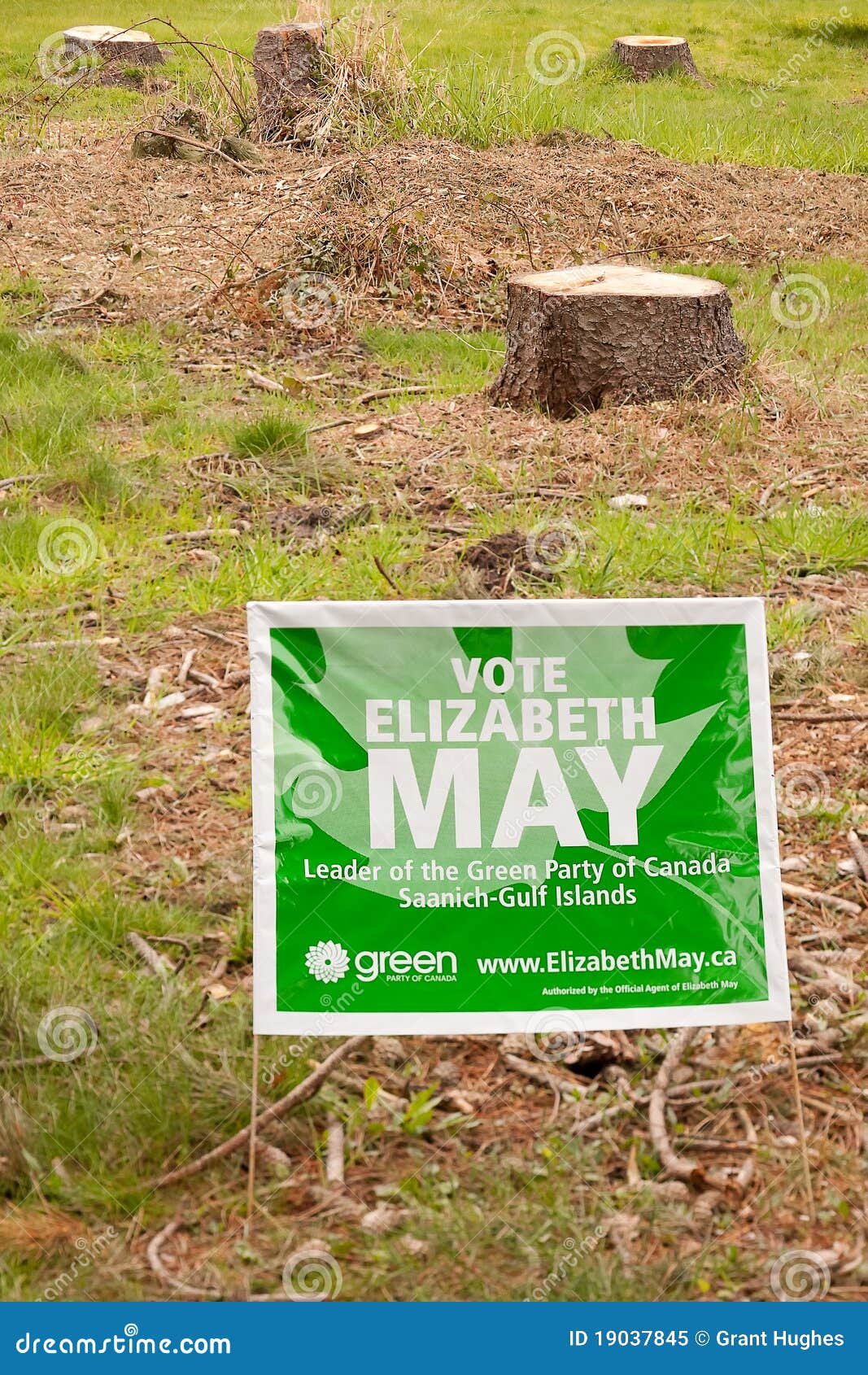Green Party Sign and Tree Stumps Editorial Image - Image of douglas ...