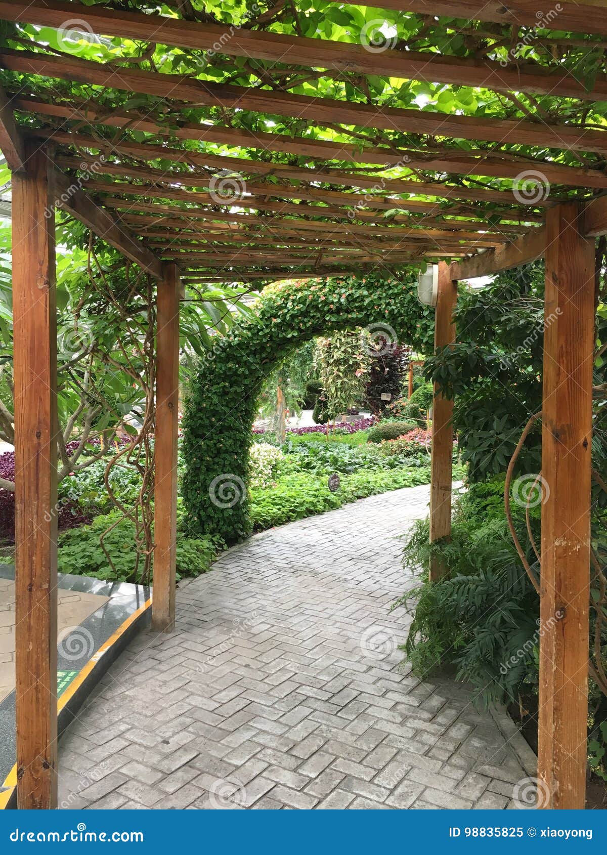 Green passageway stock image. Image of nature, environment - 98835825