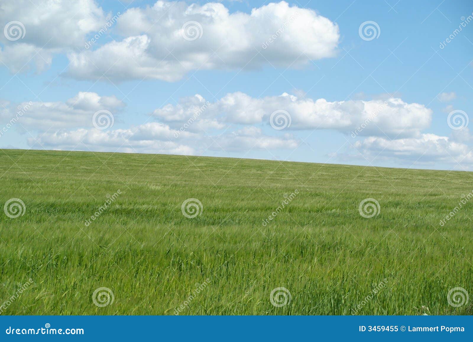Green Pasture with Blue Sky Stock Image - Image of picturesque, clouds ...