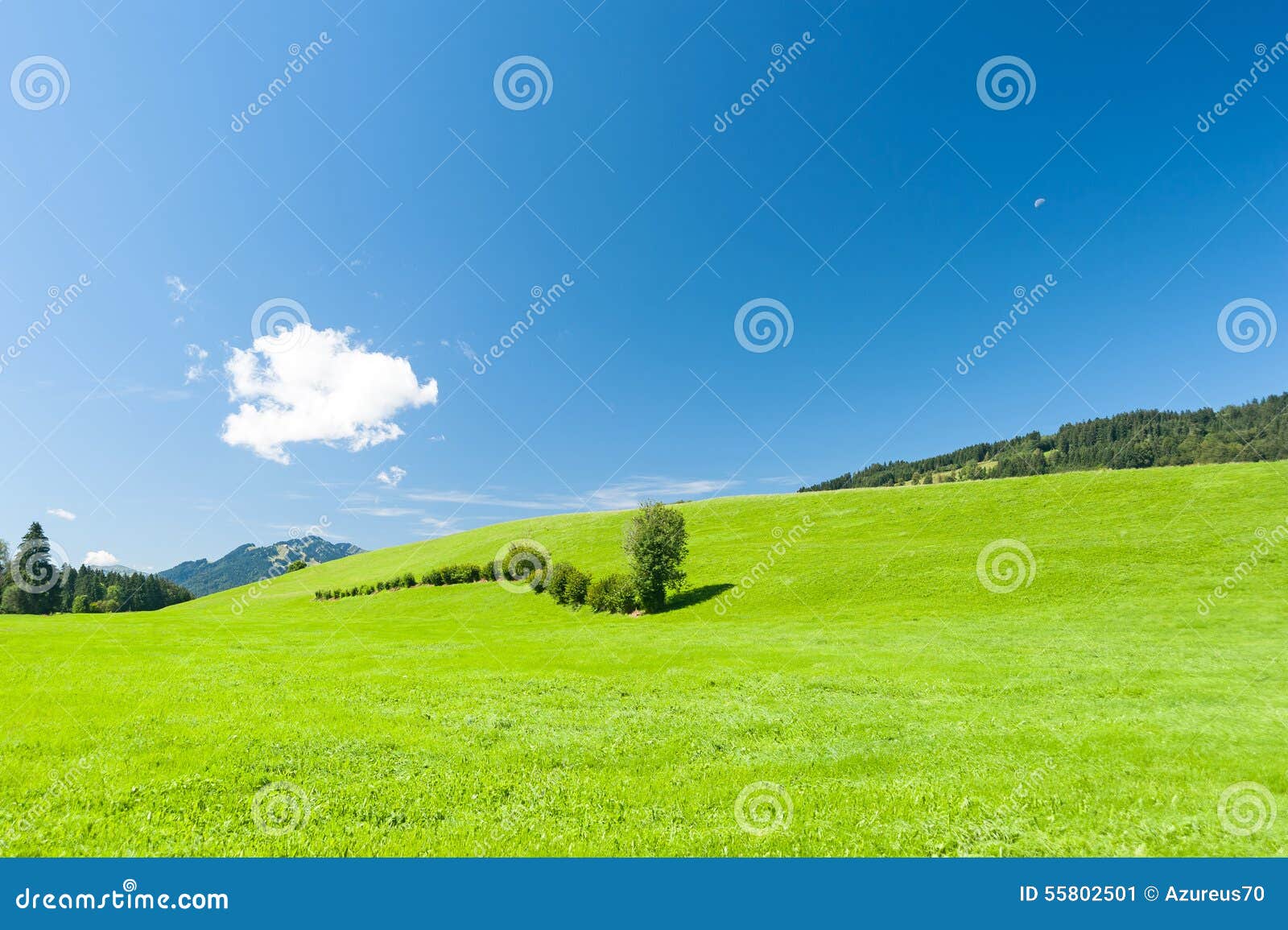 Green pasture stock image. Image of bavaria, swabia, mountains - 55802501