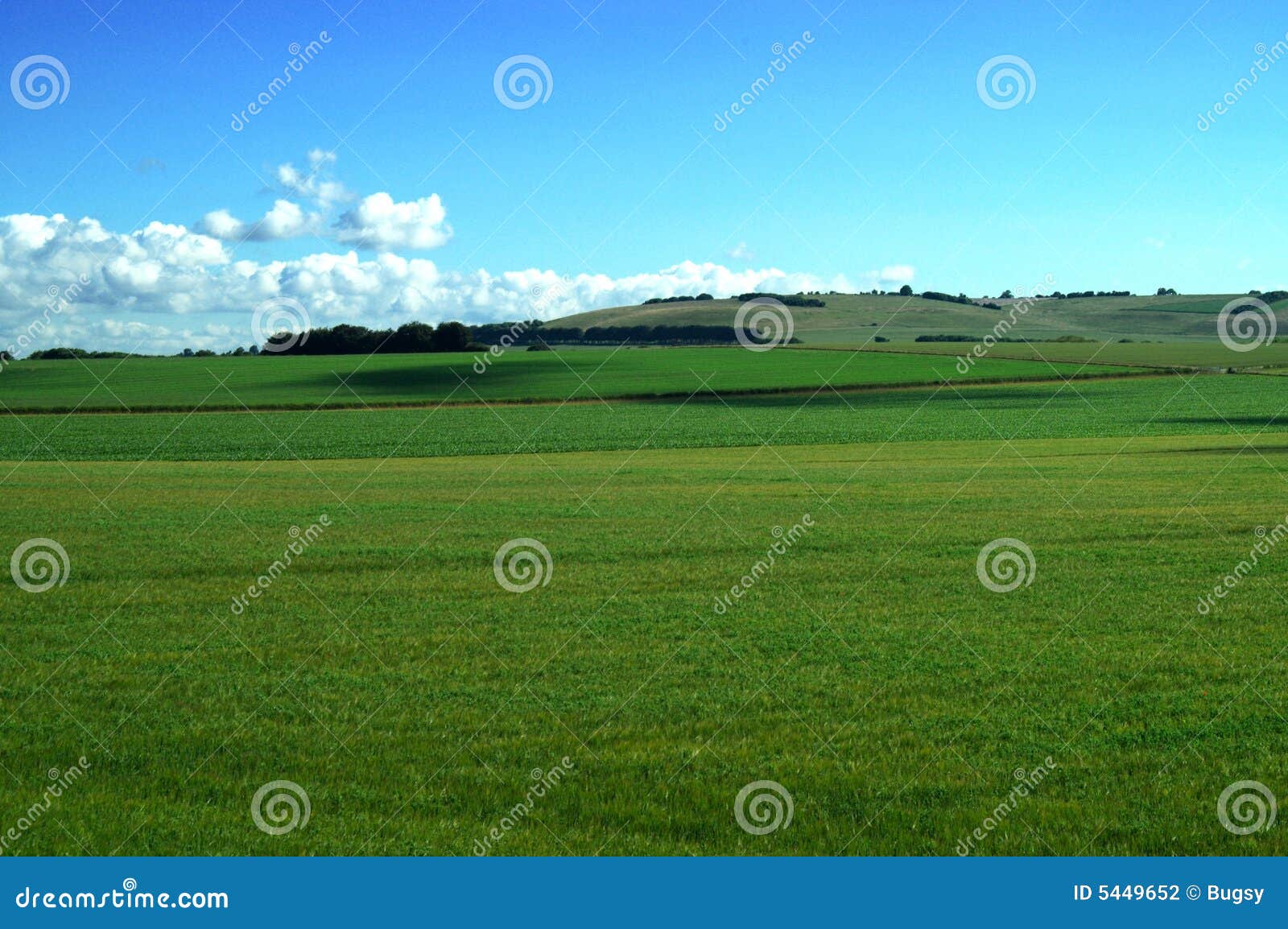 Green Pasture in England stock photo. Image of background - 5449652