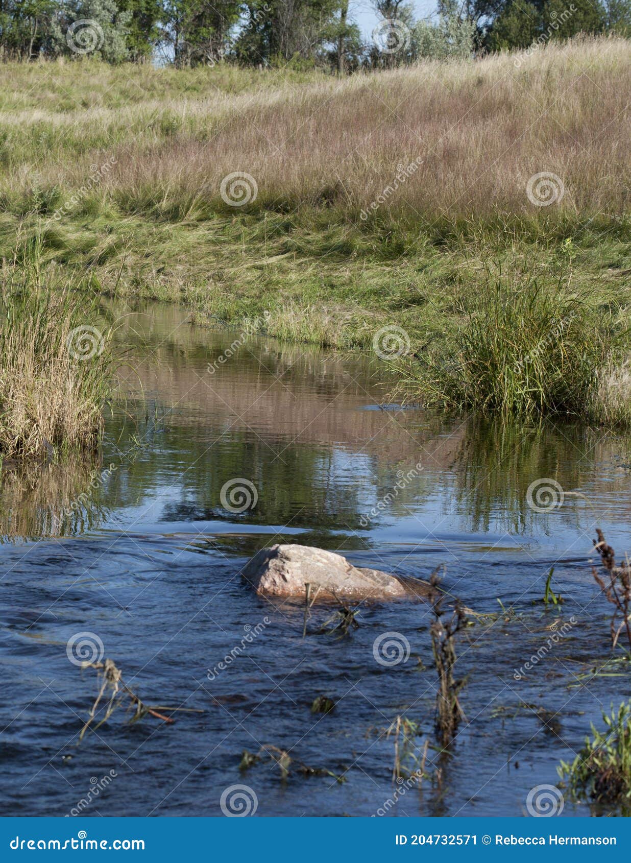 Pasture with Stream of Water. Stock Image - Image of environment, wild ...