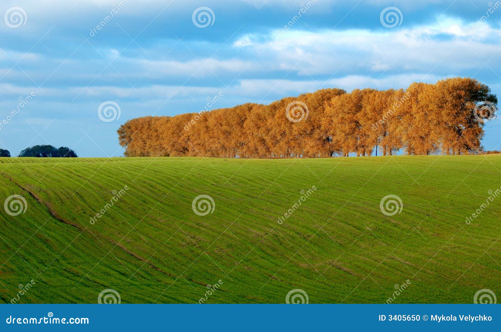 Green pasture and trees stock photo. Image of environment - 3405650