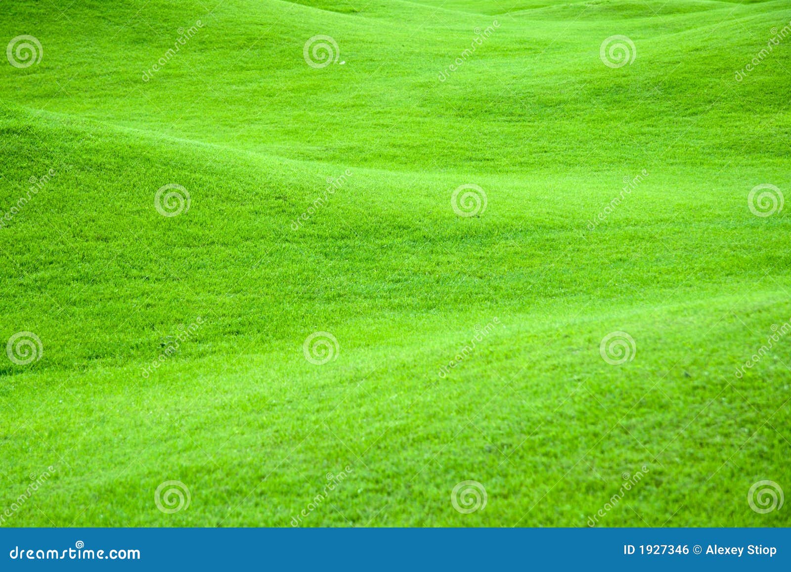 Green pastures 2 stock photo. Image of bright, empty, plant - 1927346