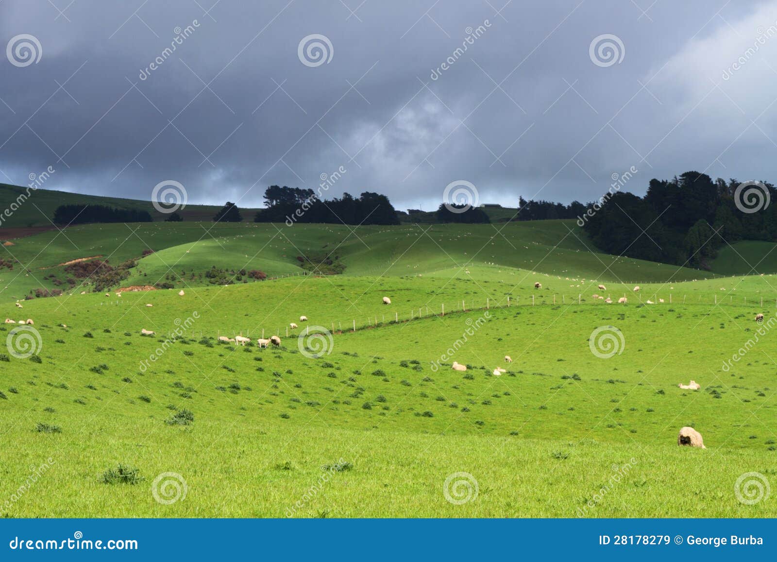 Green pastures stock image. Image of idyllic, environmental - 28178279