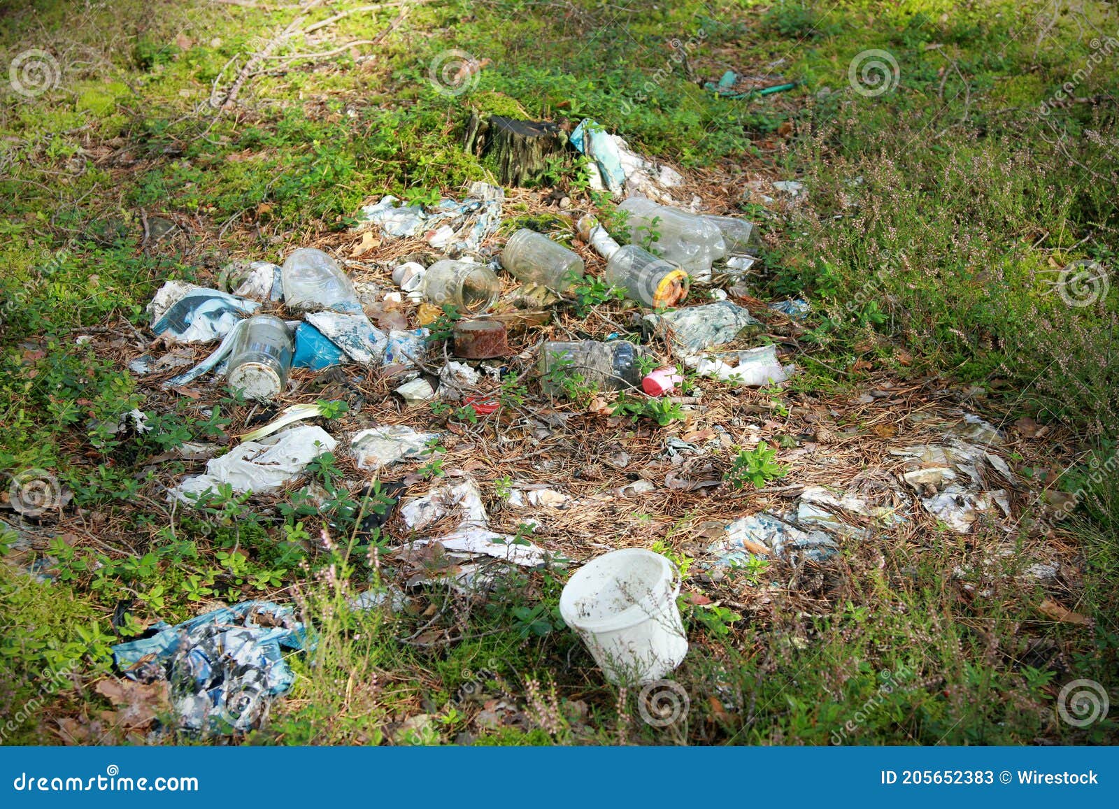 Green Patch of Grass Polluted with Trash Stock Image - Image of trash ...