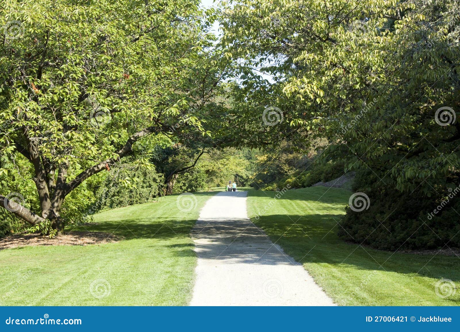 Green path stock image. Image of healthy, lawn, tree - 27006421