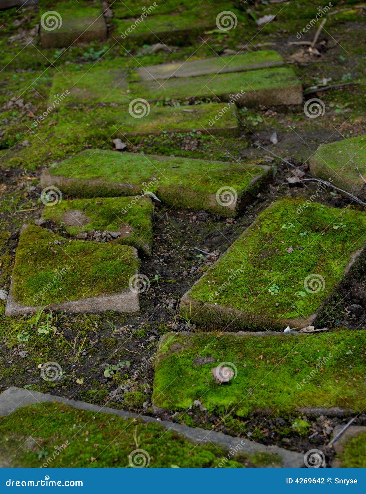 Green Path stock photo. Image of stone, rocks, stepping - 4269642