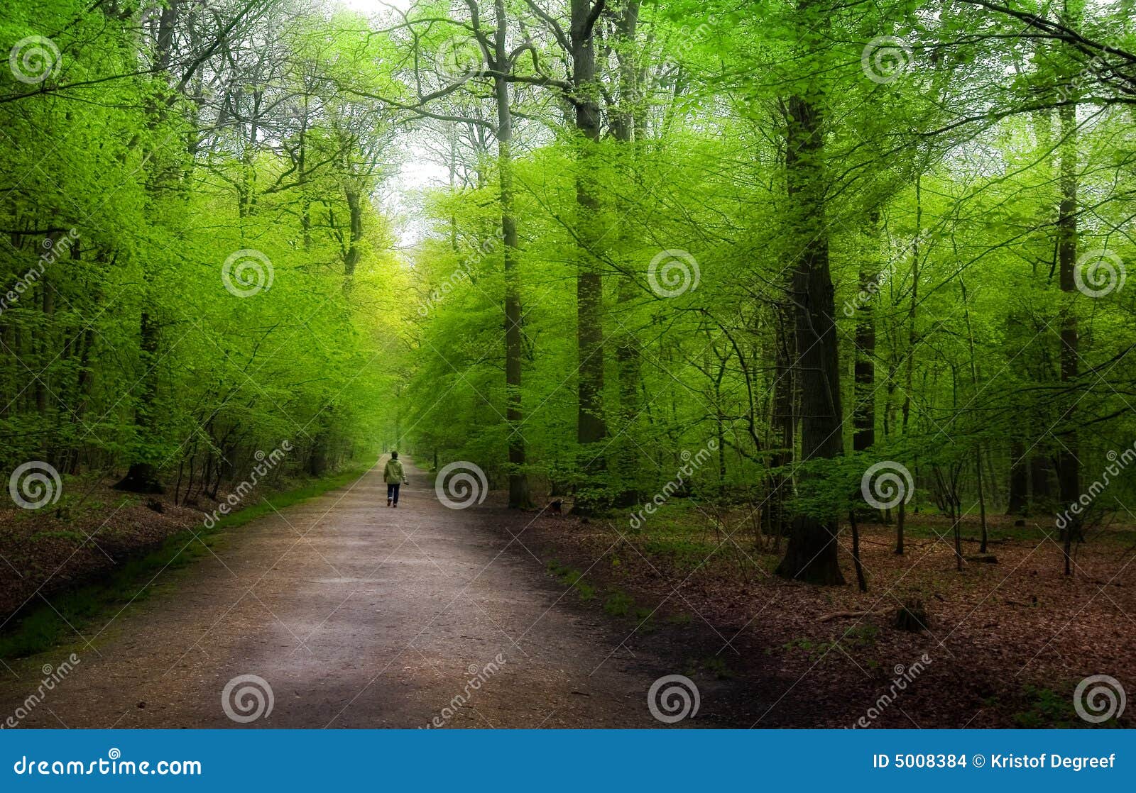Green path stock photo. Image of path, postcard, walking - 5008384