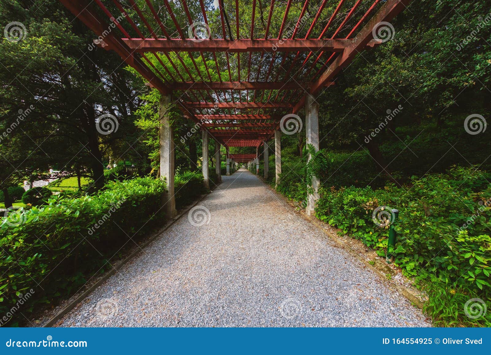 Green Path in Beautiful Garden Angle Shot Stock Image - Image of ...