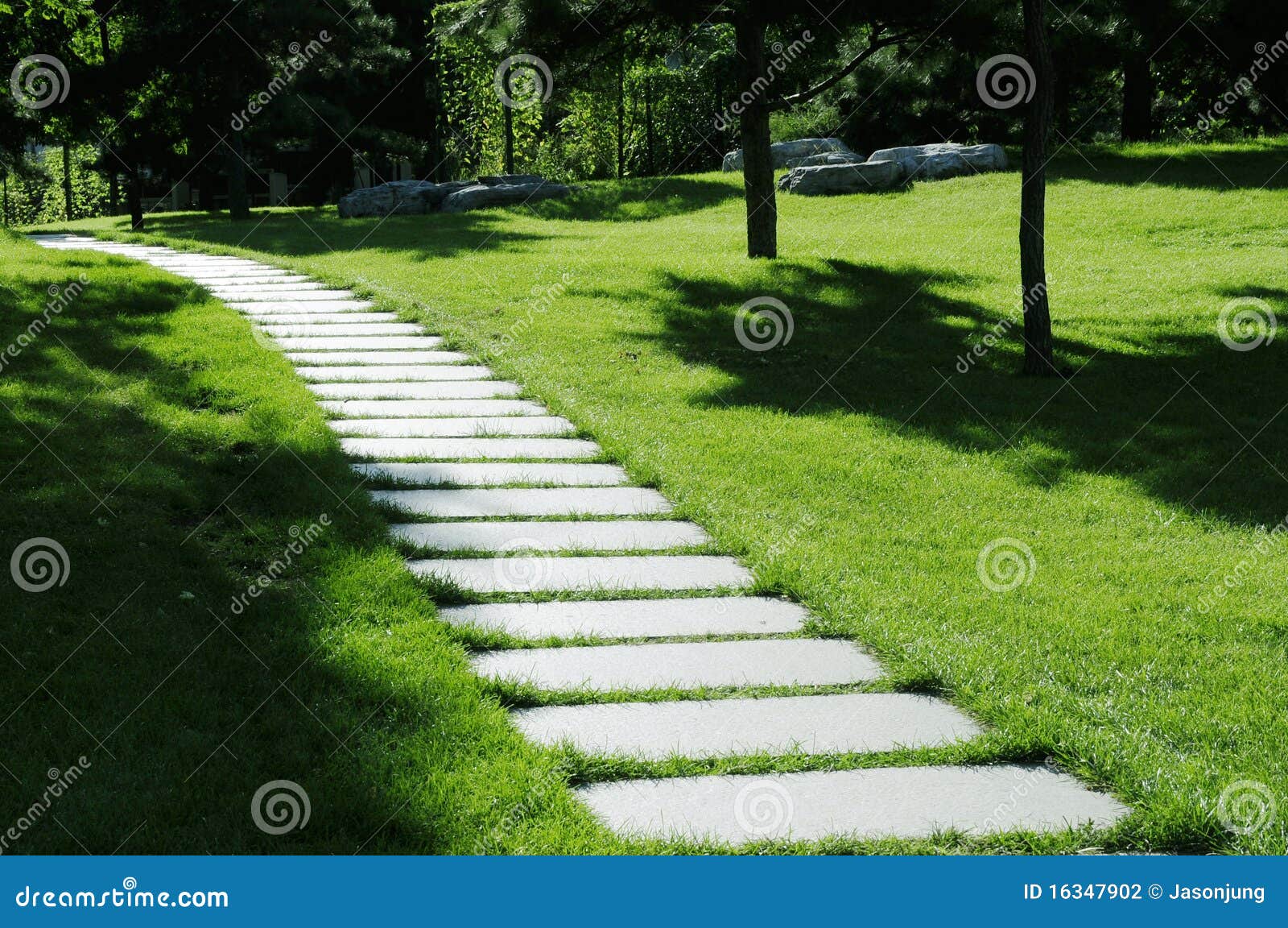 Green path in the forest stock photo. Image of walk, grass - 16347902