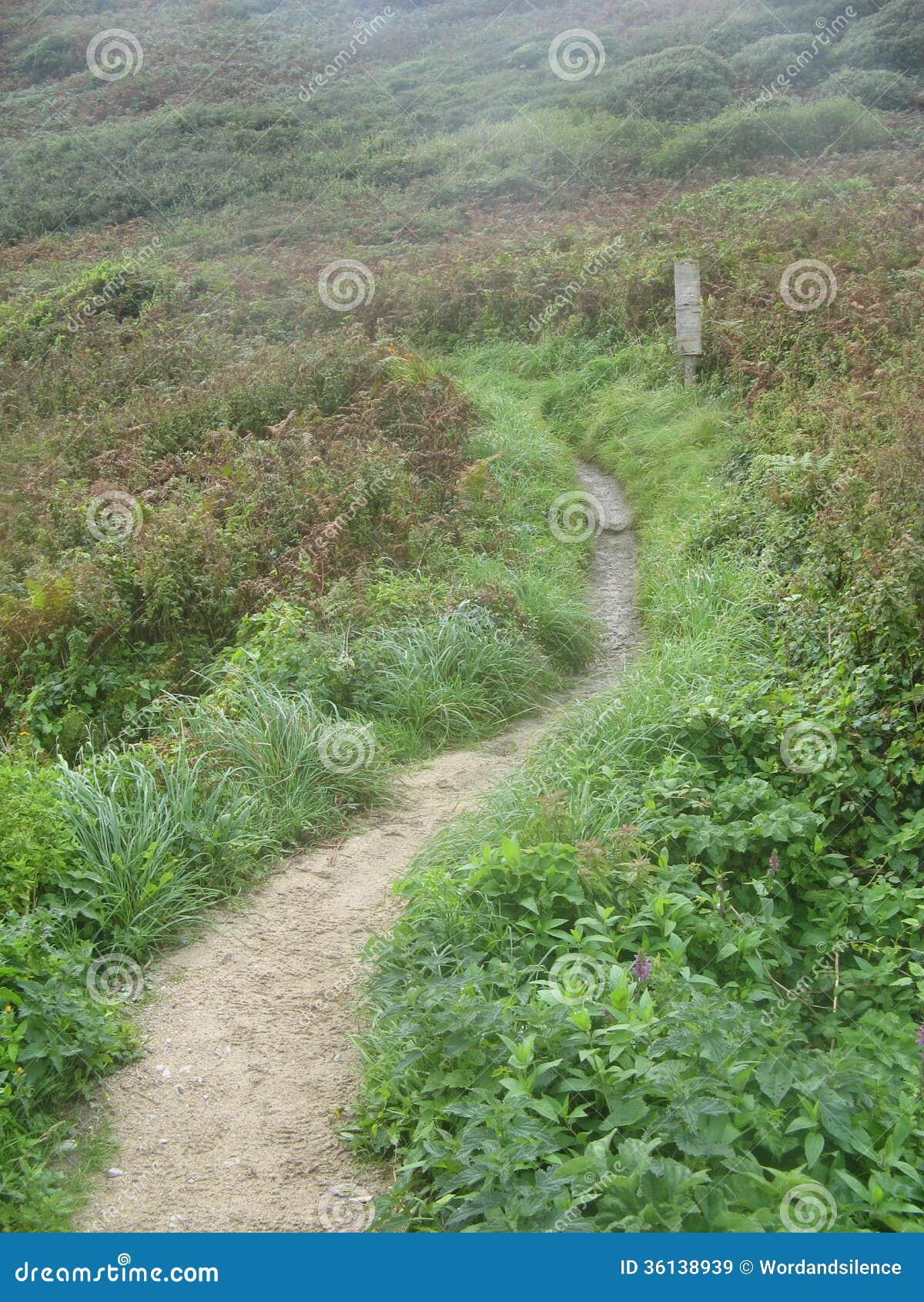 Path Through Lizard Mound County Park Stock Photography | CartoonDealer ...