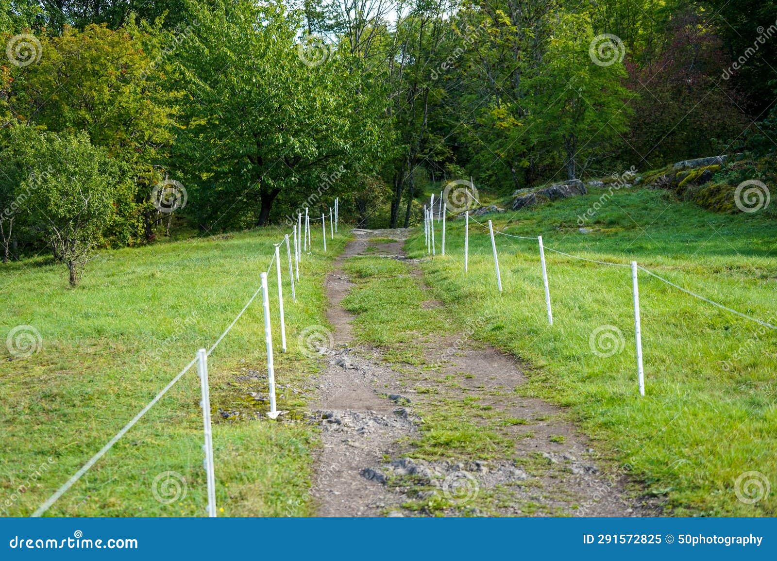 Green Path in the Park Closed with White Sticks. Greenery. Stock Image ...