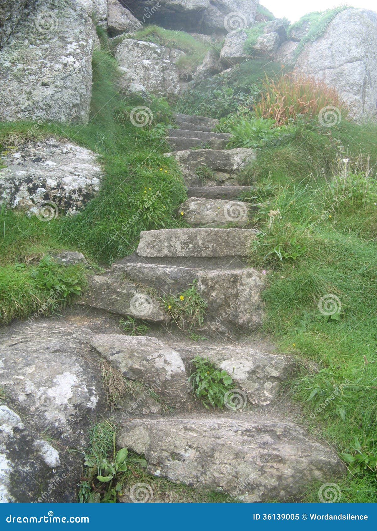 Path Through Lizard Mound County Park Stock Photography | CartoonDealer ...