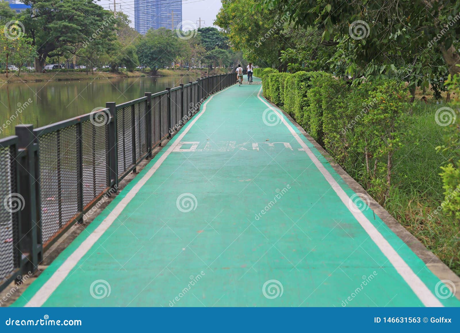 A Green Pathway of Bicycles Lane at the Nature Park Stock Image - Image ...
