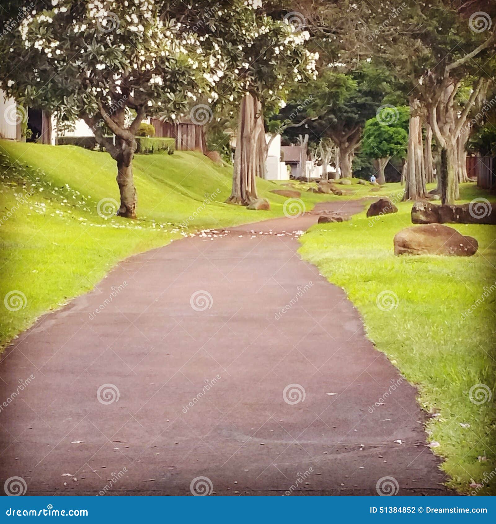 Green pathway stock photo. Image of pathway, greenist - 51384852