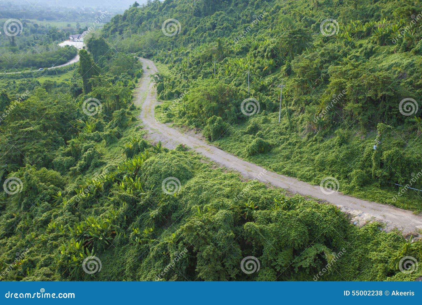 Green pathway stock photo. Image of pathway, environ - 55002238