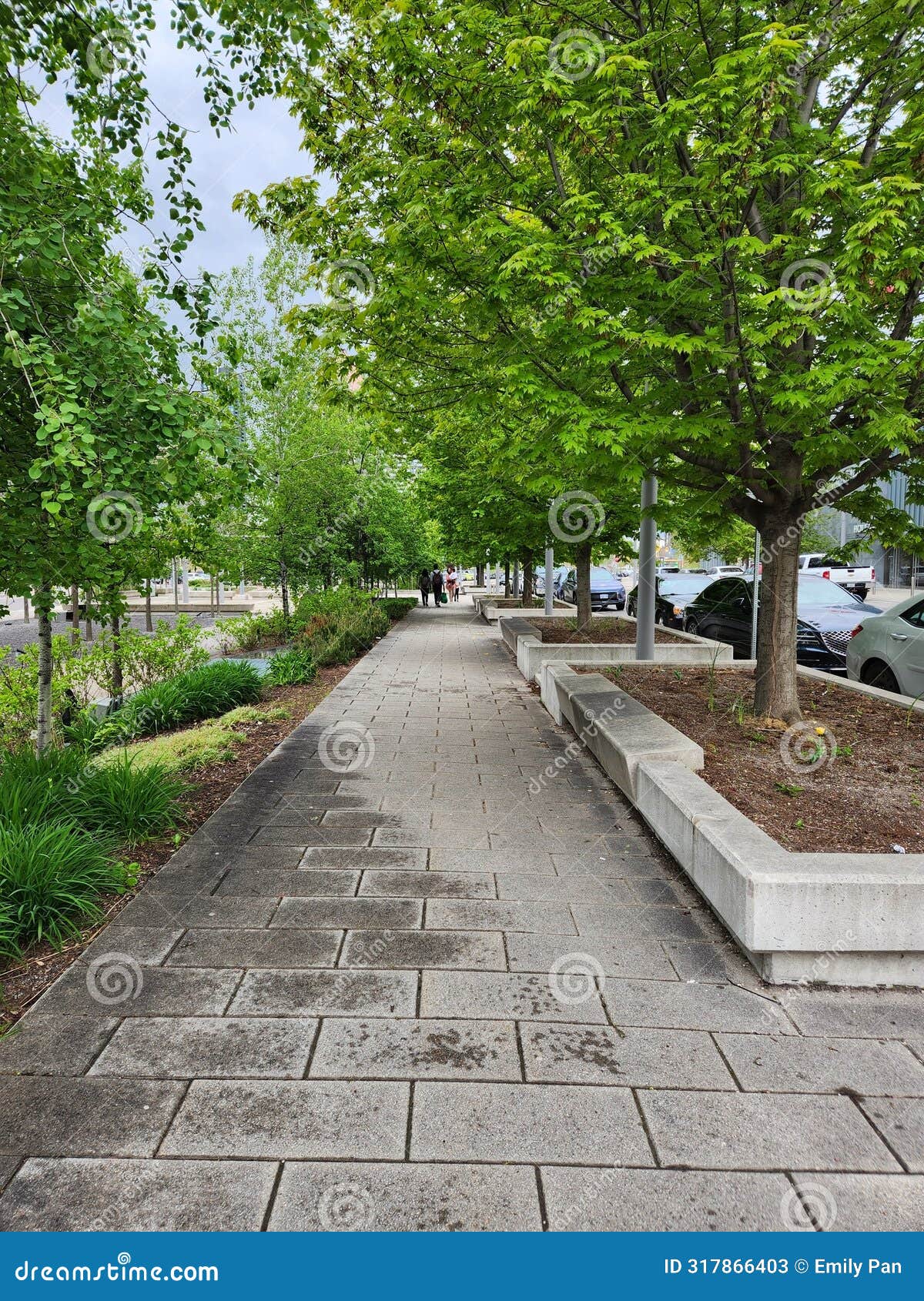 Green Pathway after the Rain Stock Image - Image of park, garden: 317866403