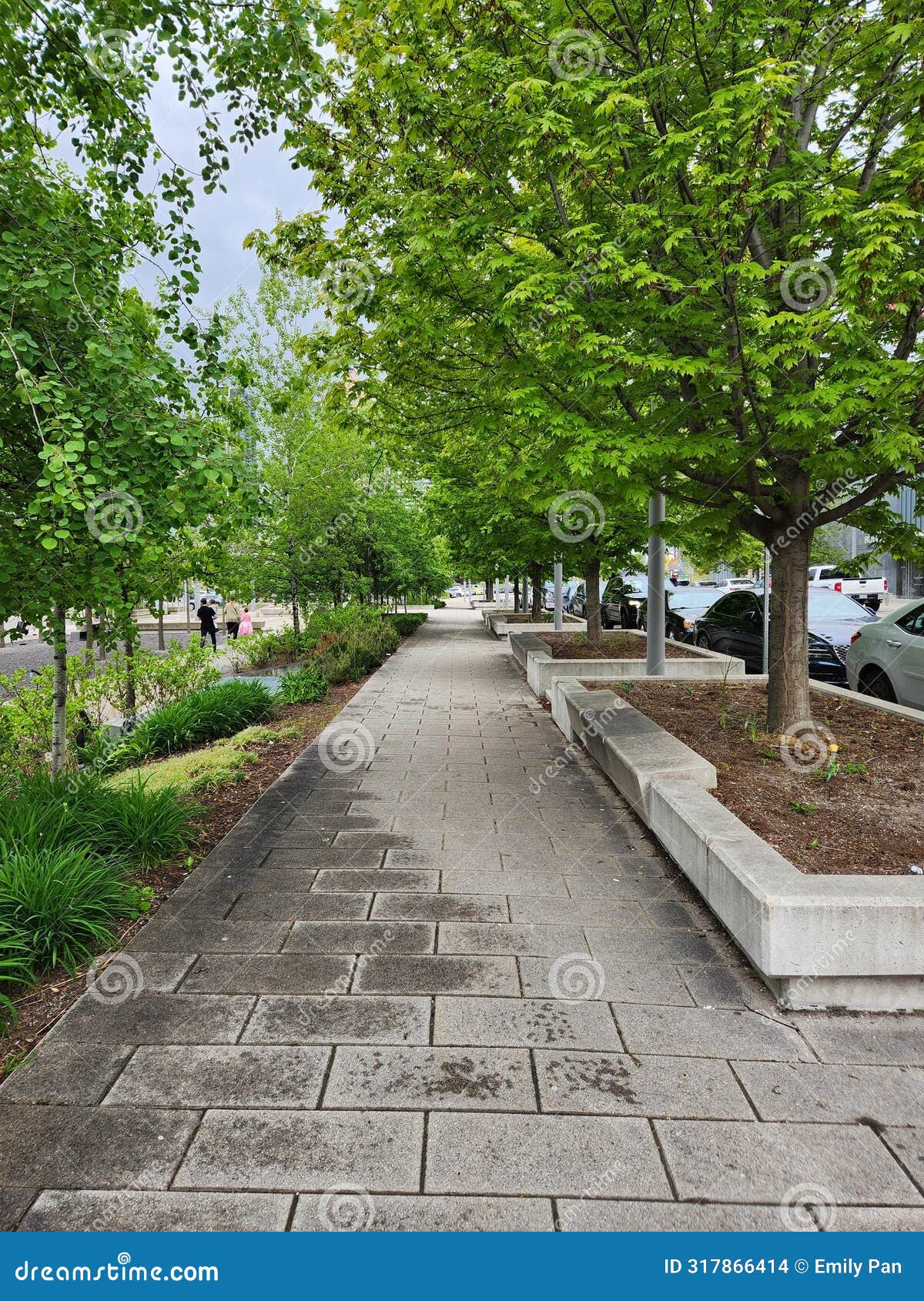Green Pathway after the Rain Stock Photo - Image of flower, walkway ...