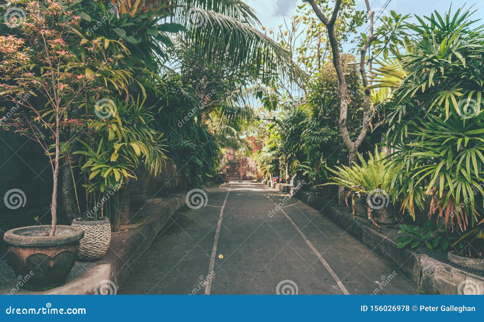 Pathway To Bali Botanical Gardens Royalty-Free Stock Image ...