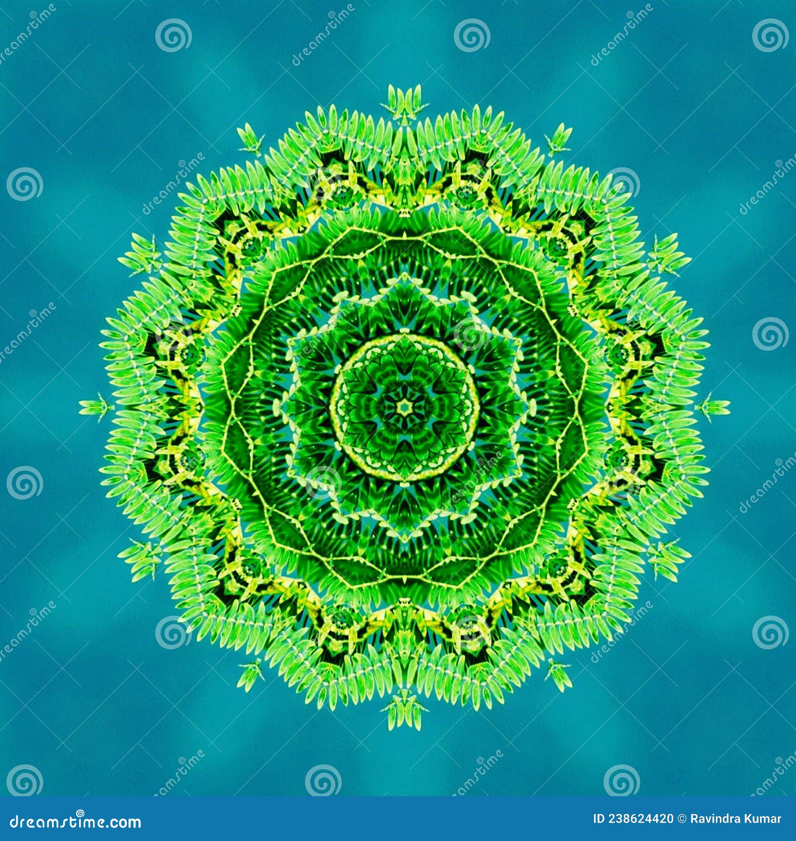 Green pattern design stock illustration. Illustration of petal - 238624420
