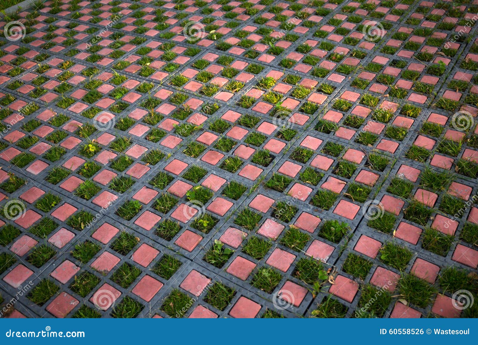 Green pavement stock photo. Image of summer, nature, background - 60558526