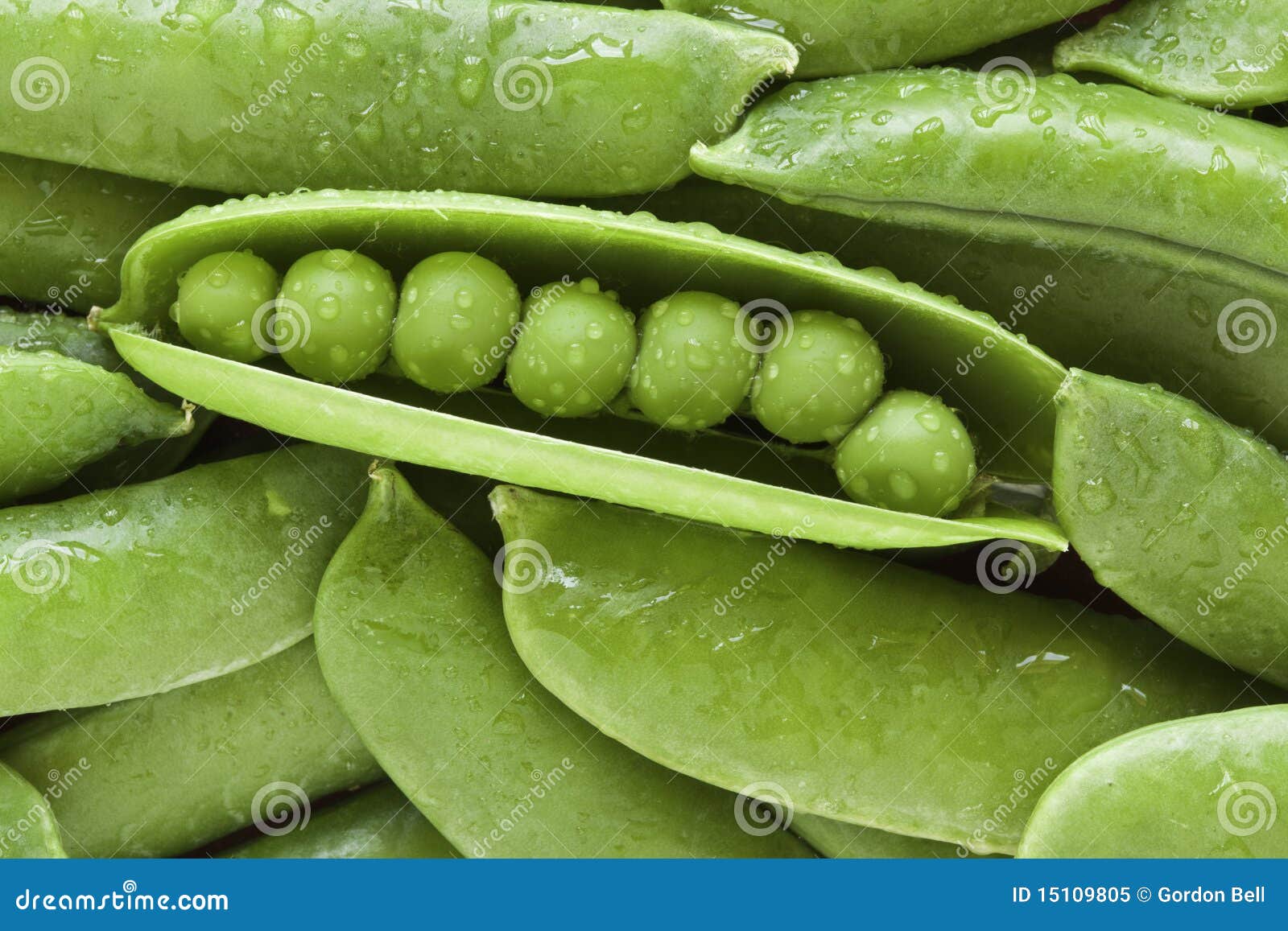 Green Pea stock image. Image of freshness, snack, full - 15109805