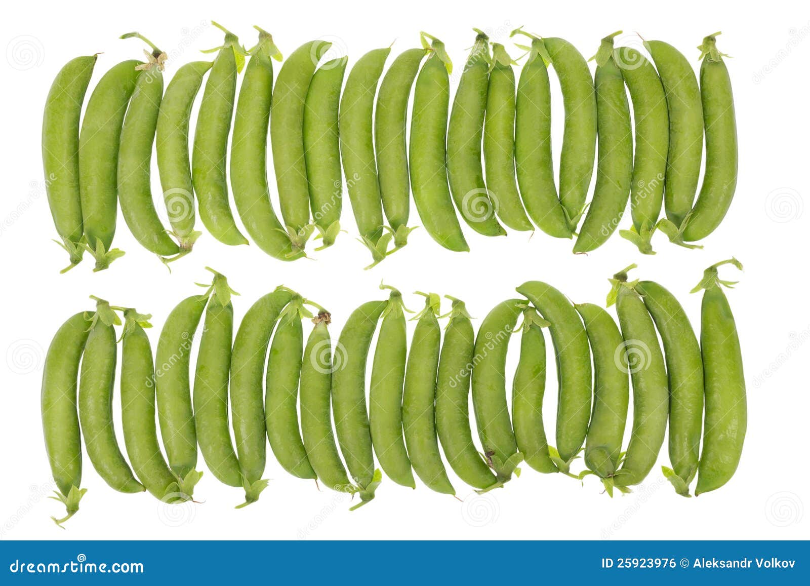 Green pea border isolated stock photo. Image of border - 25923976