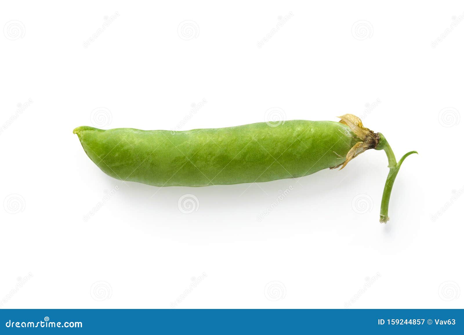Green pea pod stock image. Image of gourmet, legume - 159244857