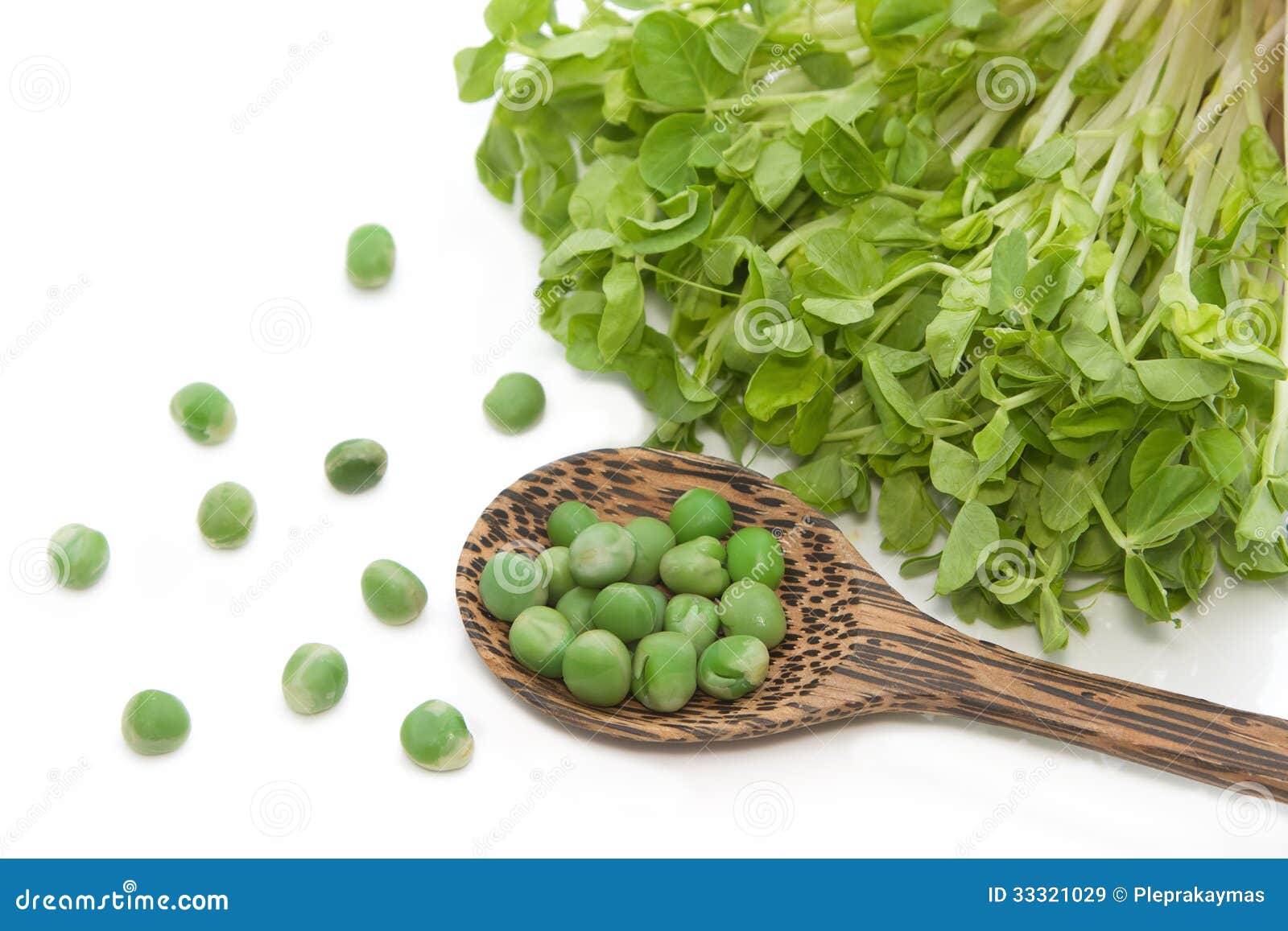 Green Pea with Snow Pea Sprouts Stock Image - Image of herb, vegetarian ...