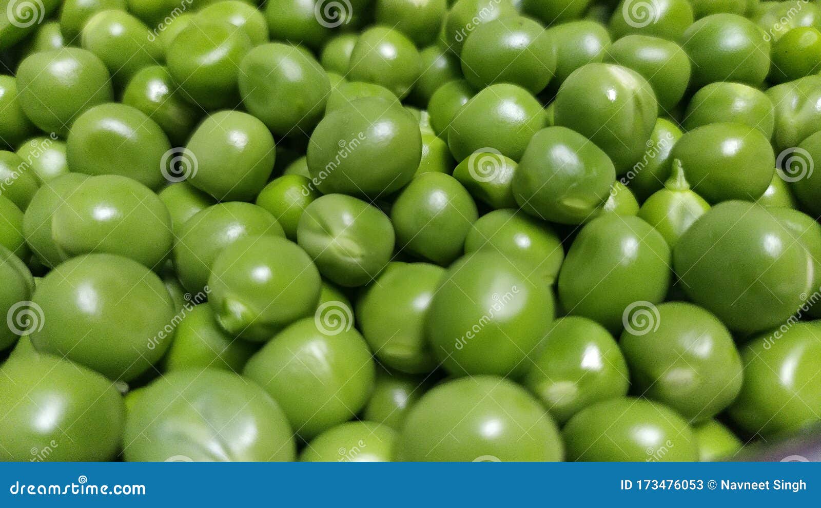 Green Pea vegetable stock image. Image of vegetable - 173476053
