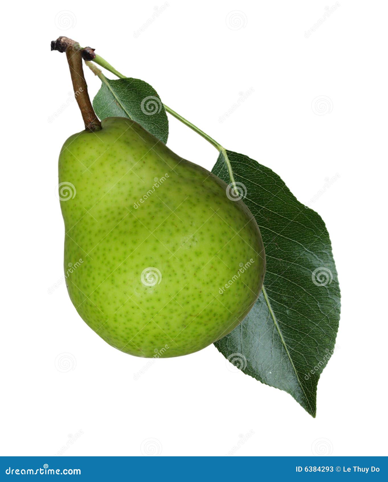 Green Pear stock image. Image of leaf, food, yellow, white - 6384293