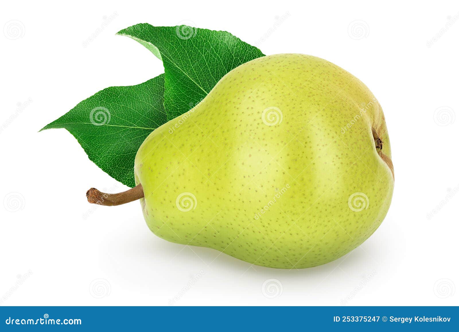 Green Pear Fruit Isolated on White Background with Full Depth of Field ...