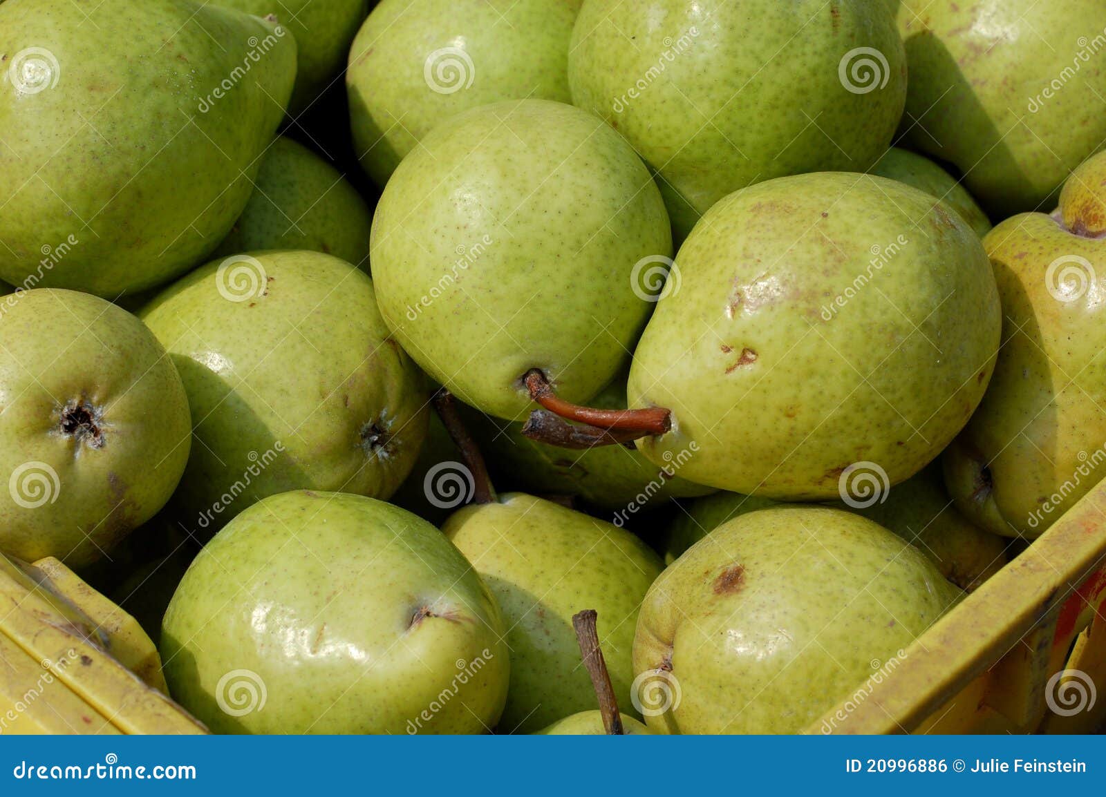 Green Pears stock photo. Image of sweet, pears, snack - 20996886