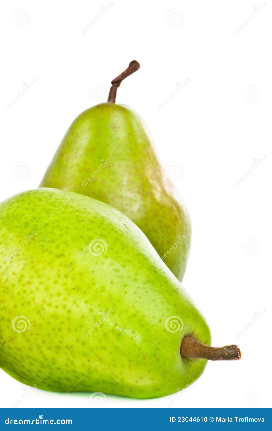 Green pears. stock photo. Image of food, delicious, life - 23044610