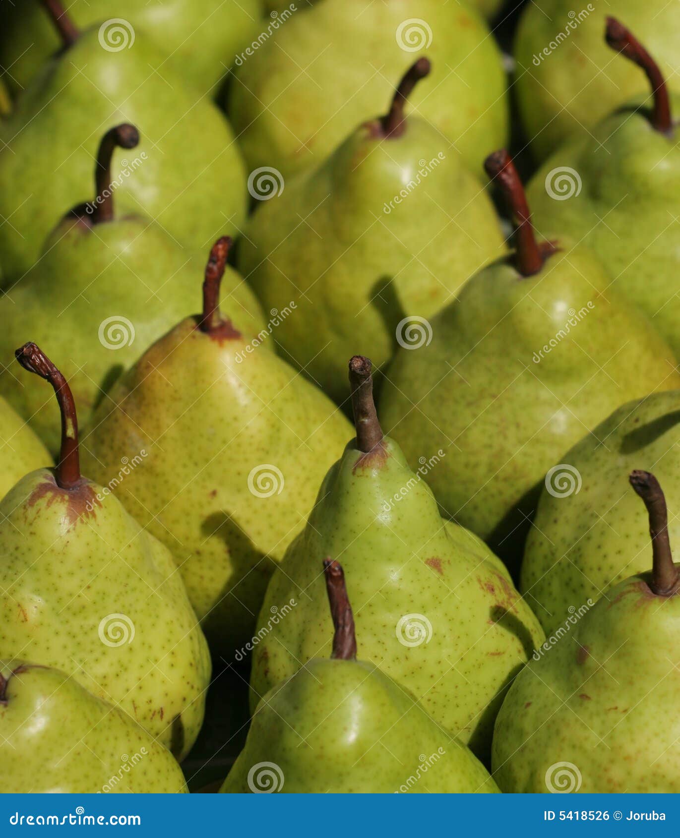 Green pears stock photo. Image of market, marketplace - 5418526