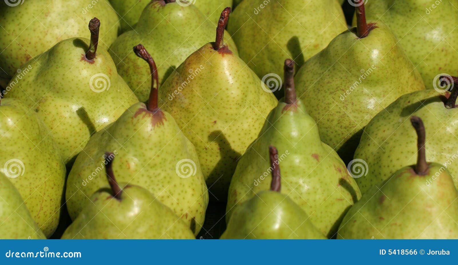 Green pears stock photo. Image of fresh, greengrocer, ripe - 5418566