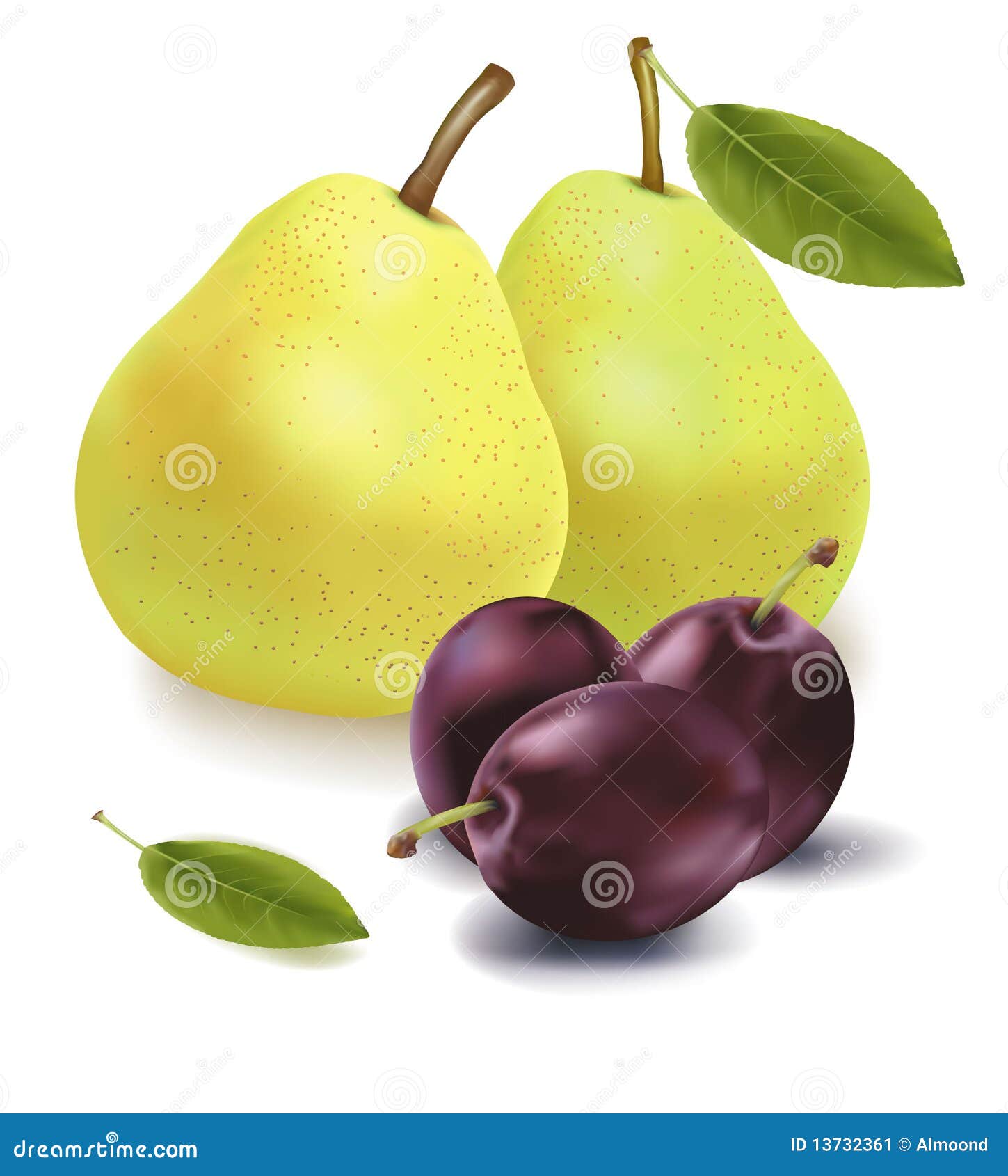 Green Pears and Plums with Leaves. Stock Vector - Illustration of ...