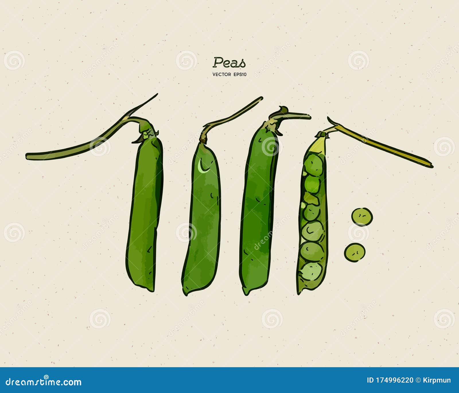 How To Draw Peas Vegetable With A Cute Face. Educational Step By Step ...