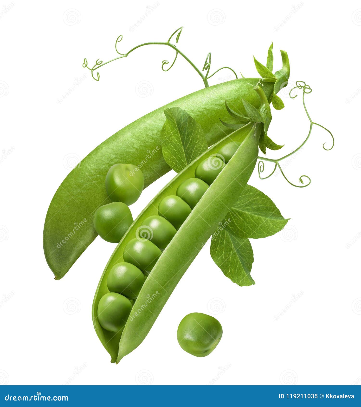 Green Peas in Open Pod Isolated on White Background Stock Image - Image ...