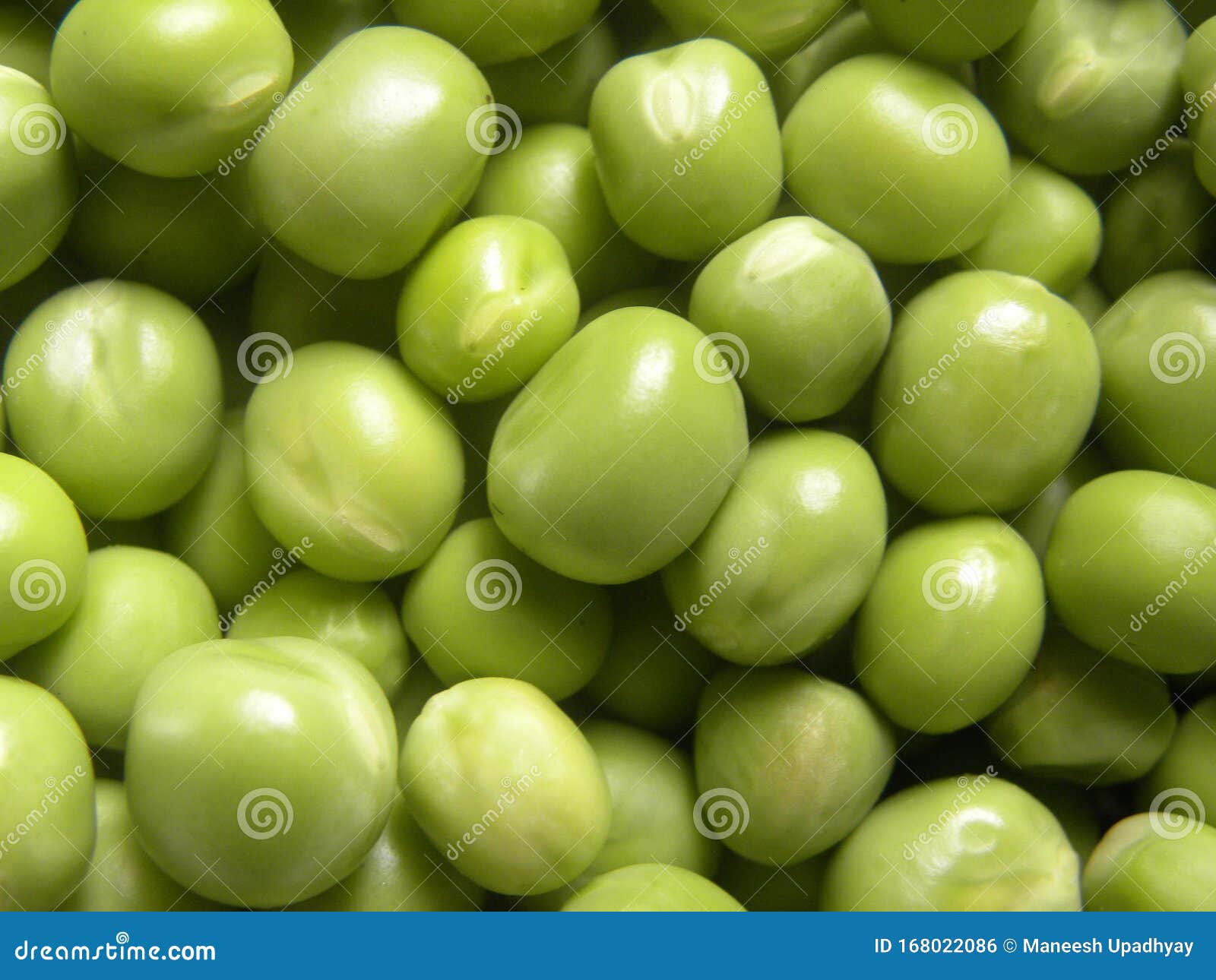 Green peas without pod stock photo. Image of isolated - 168022086