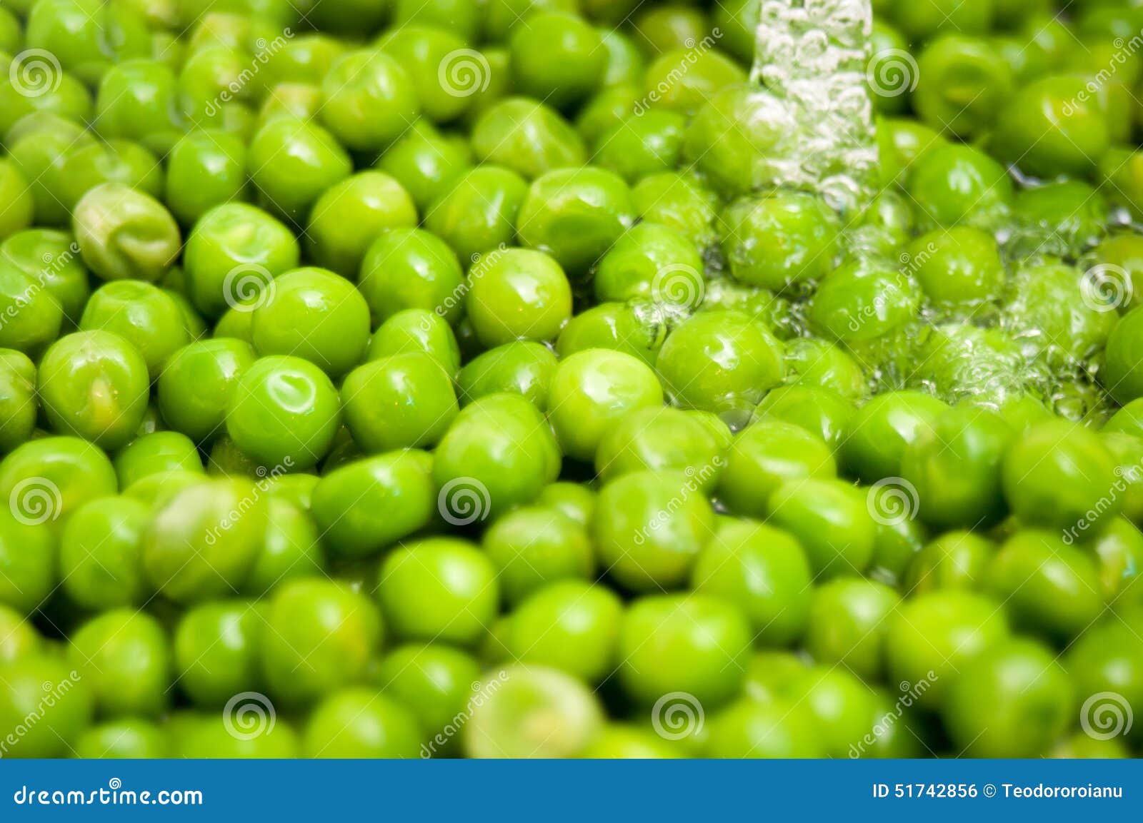 Green peas washing stock photo. Image of supper, culture - 51742856