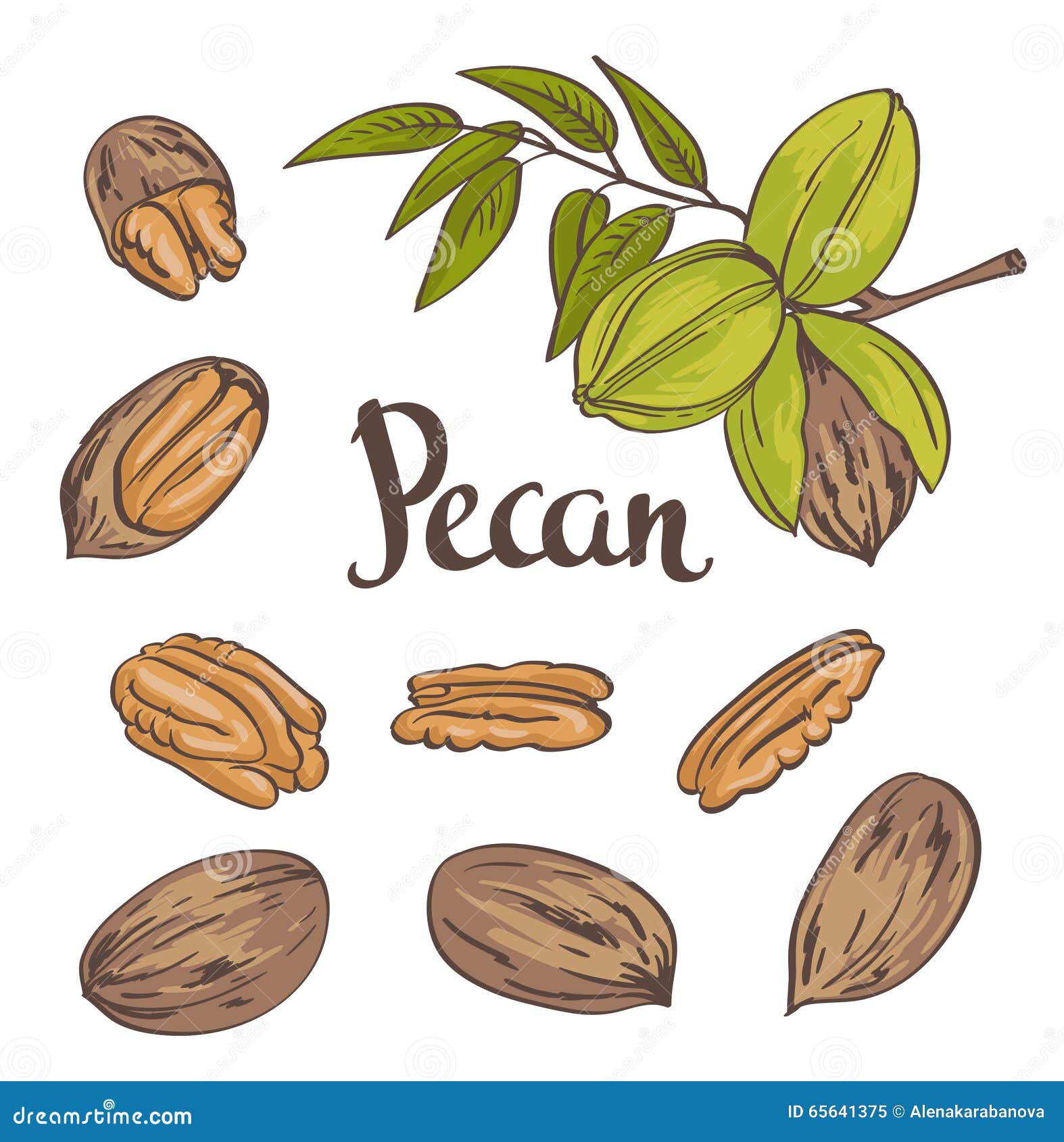 Shelled Pecan Halves With Green Leaves Isolated On White Background ...