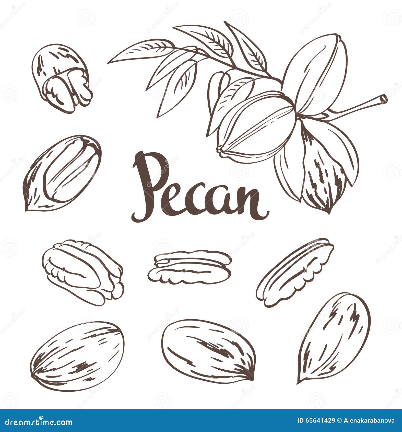 Vector Background With Nuts And Seeds On A Black Background Cartoon ...