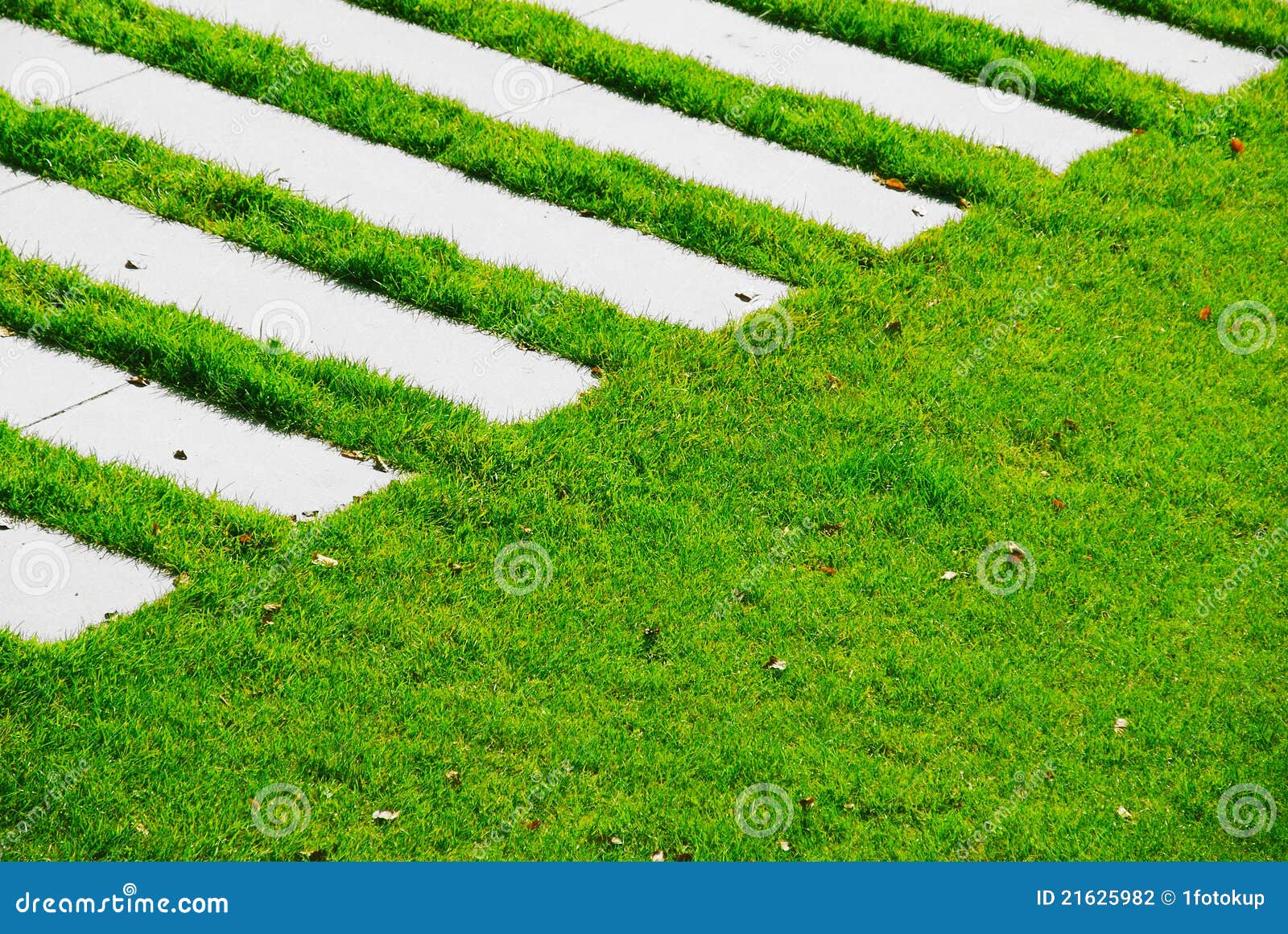Green pedestrian crossing stock photo. Image of architecture - 21625982