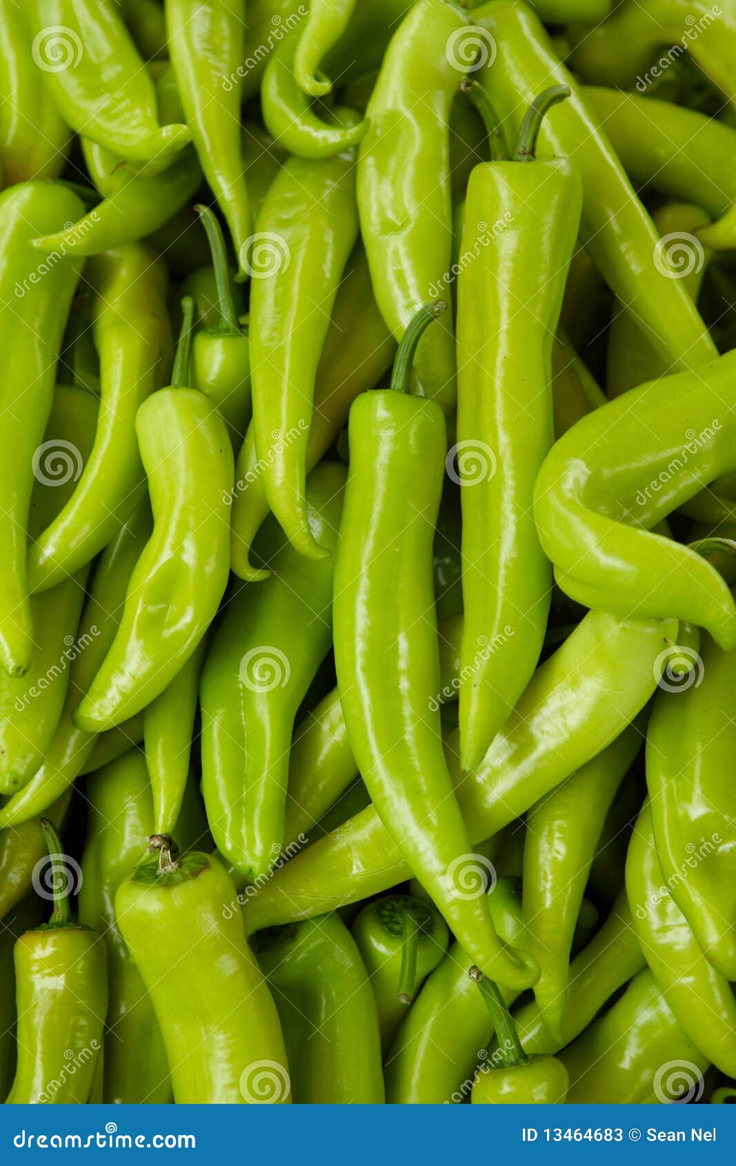 Green pepper background stock image. Image of organic - 13464683