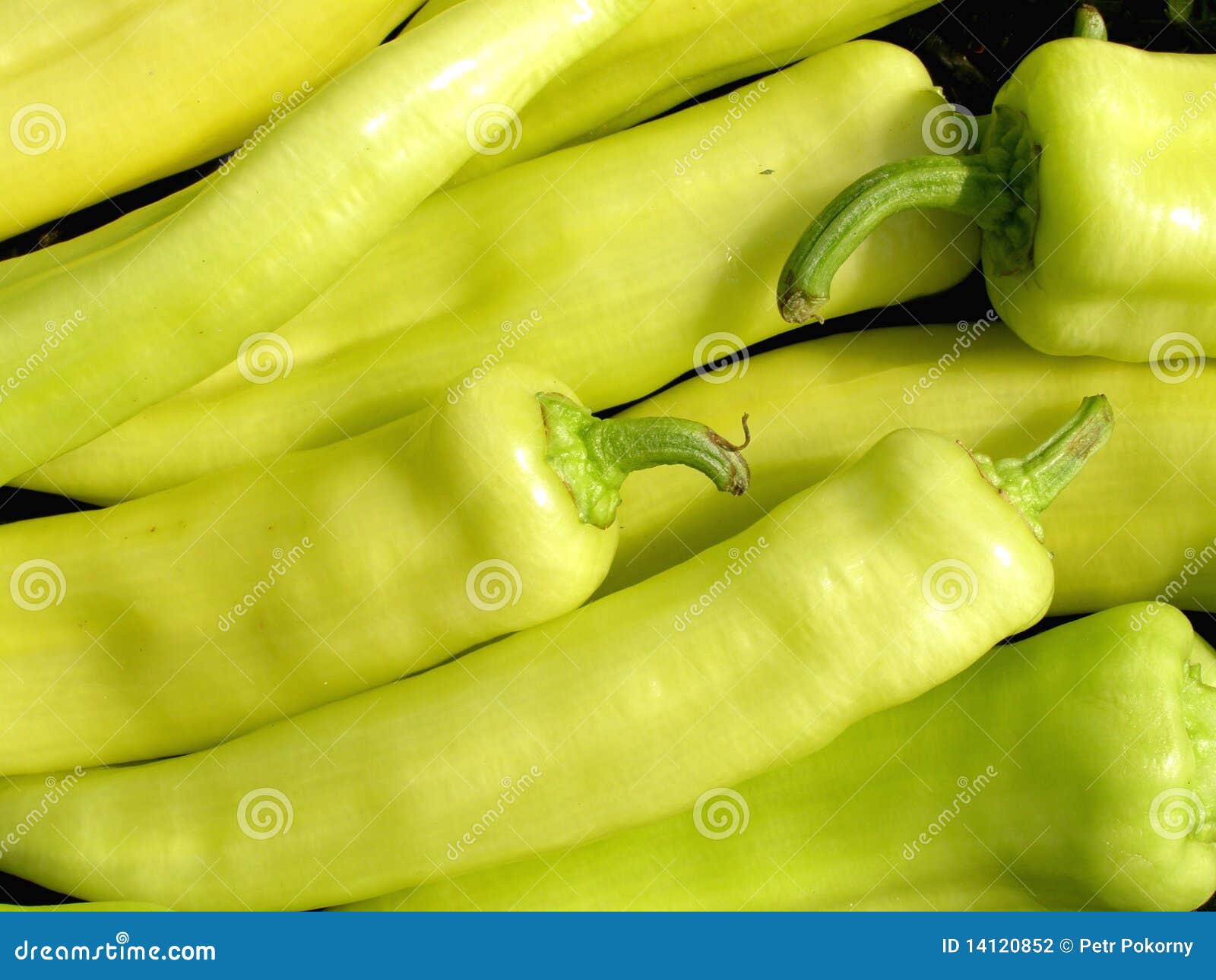 Green pepper background stock photo. Image of especial - 14120852