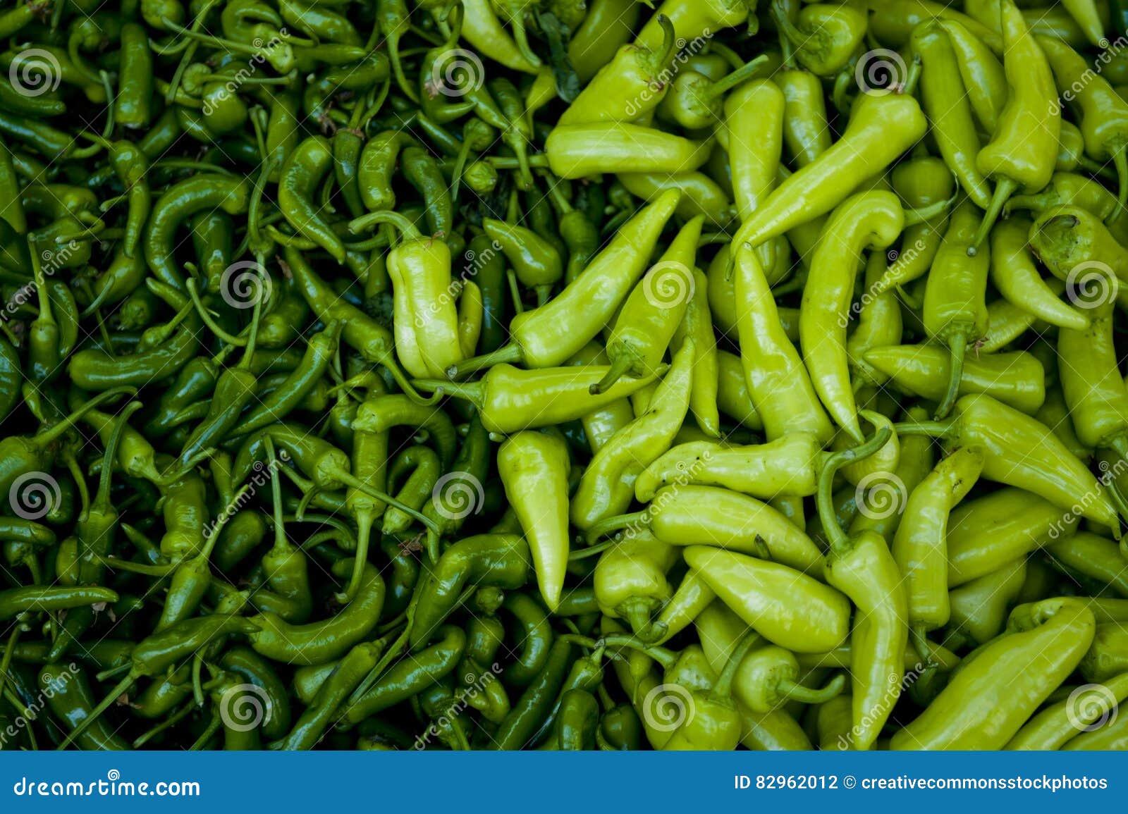 Green Pepper Background Picture. Image: 82962012