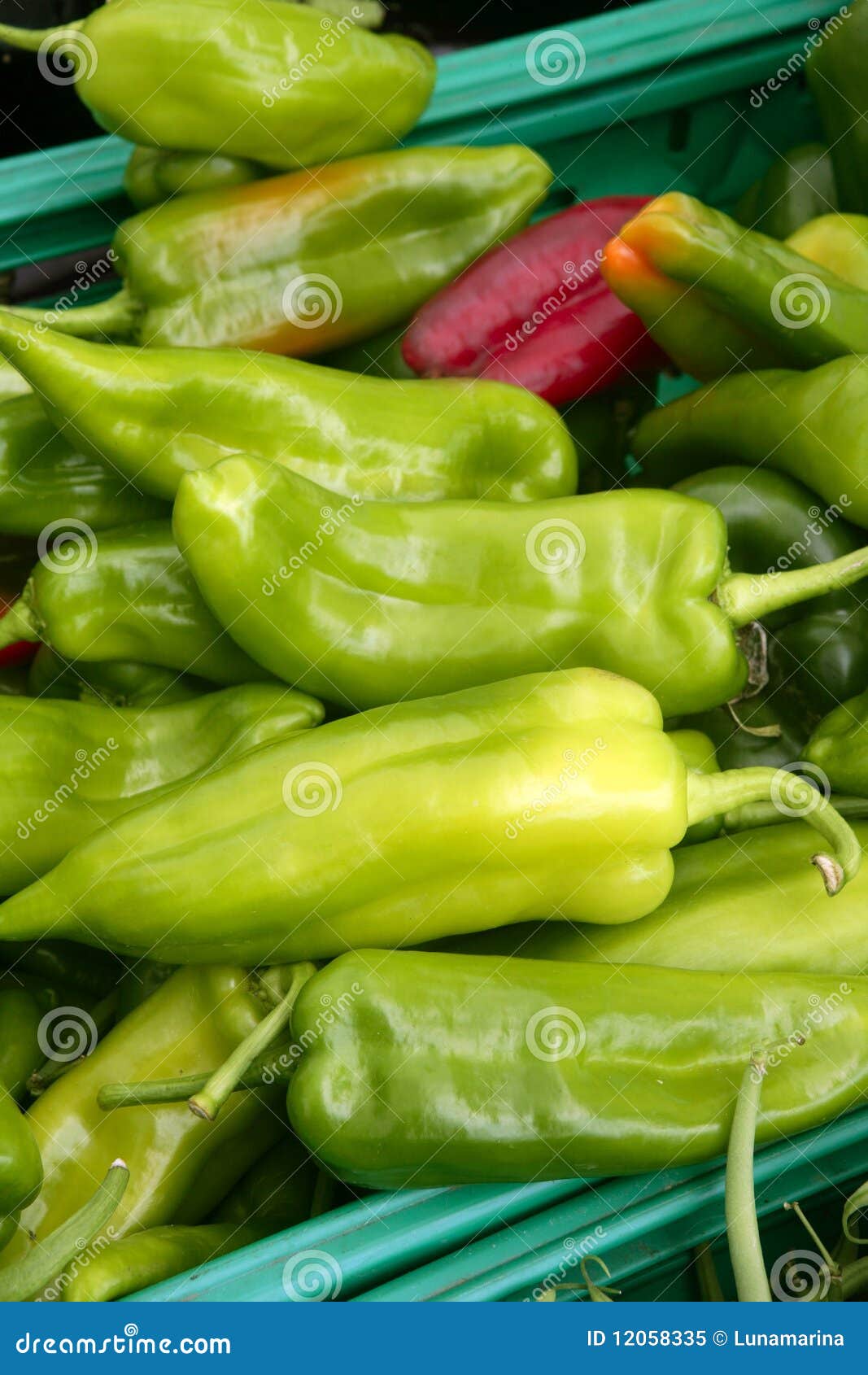 Pepper Texture Stock Photography | CartoonDealer.com #51154574