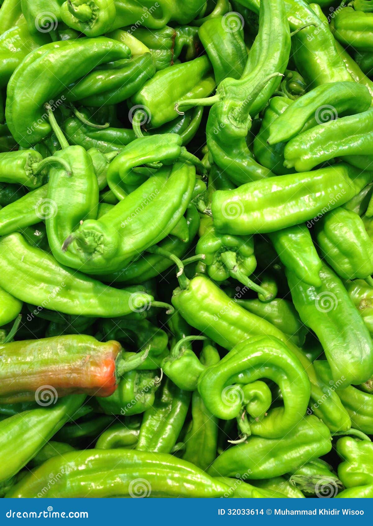 Green pepper stock photo. Image of bell, erbil, delicious - 32033614